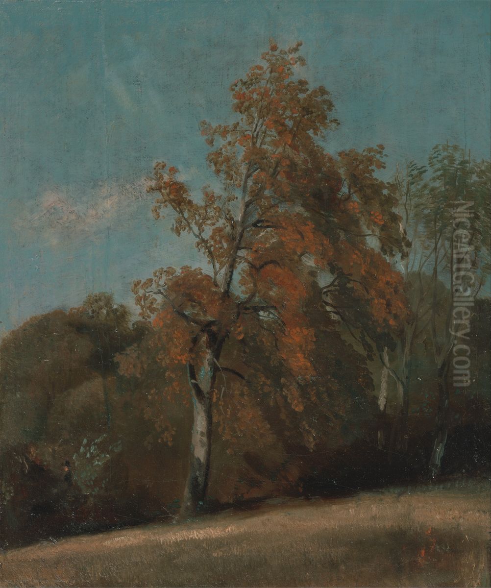 Study of an Ash Tree reproduction by John Constable for sale ...