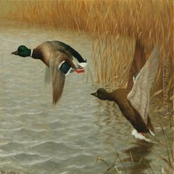 Flying Duck Painting