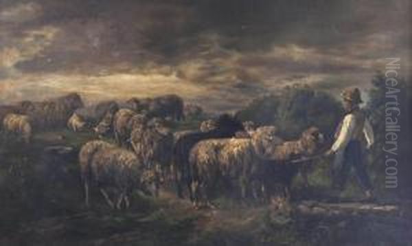 Shepherd Boy With Sheep