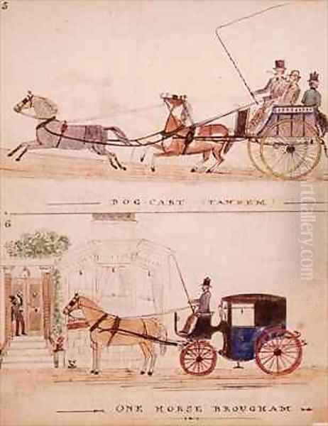 Dog Cart For Horse