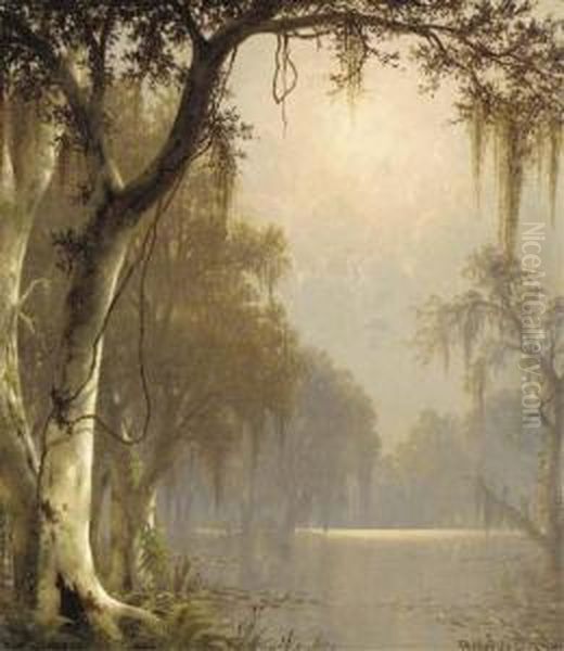 Bayou Paintings