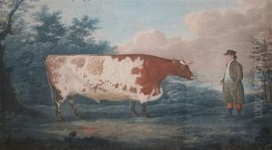 The Durham Ox oil painting reproduction by John Boultbee ...
