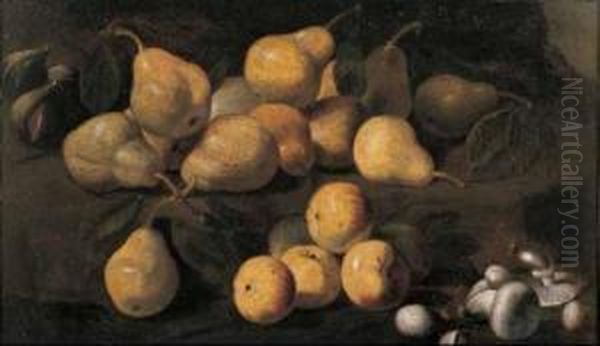 Real Life Maria Rossi