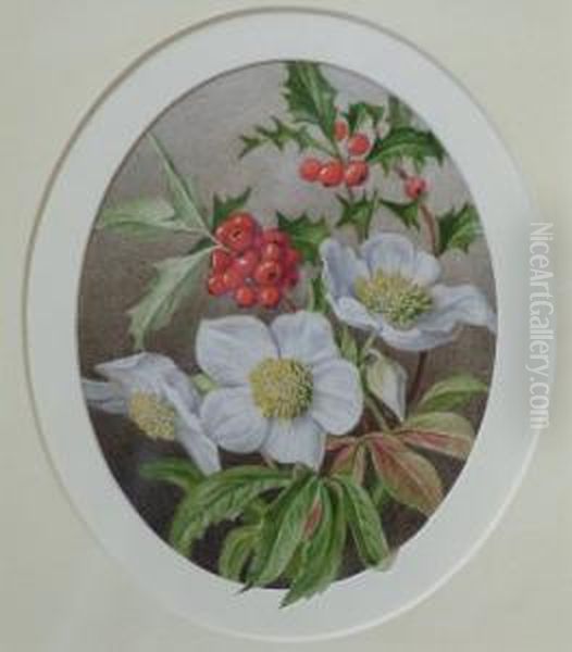 Botanical Study oil painting reproduction by Mary Elizabeth Duffield ...