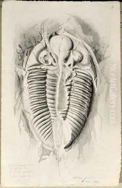 Trilobite Painting
