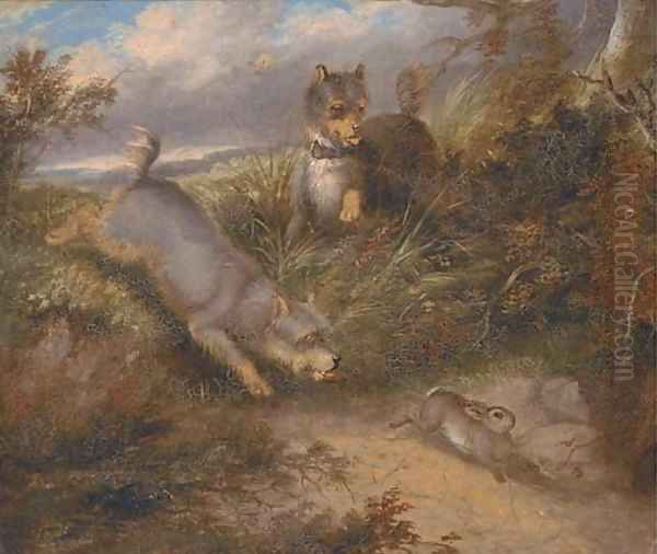 Terriers chasing a rabbit oil painting reproduction by George Armfield ...
