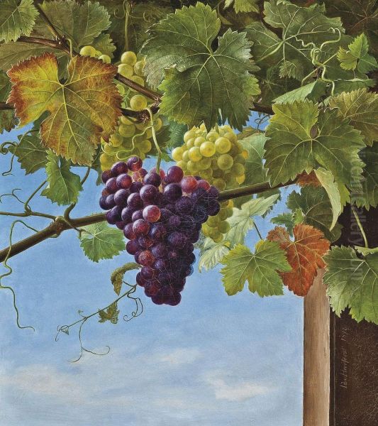 Grape Vine Paintings