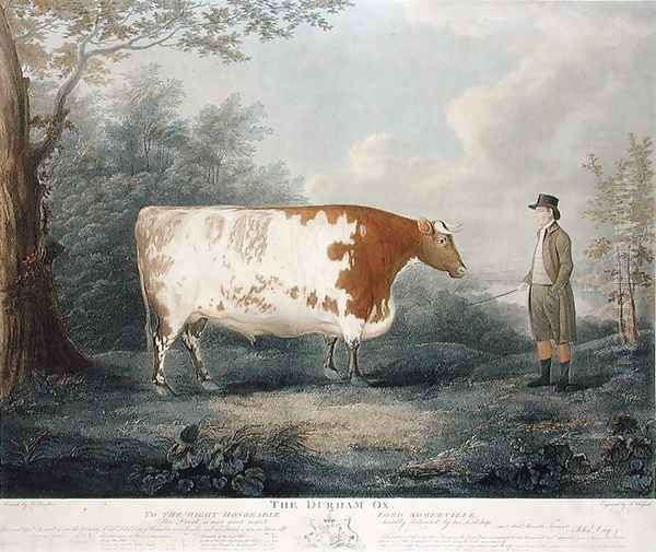 The Durham Ox, 1802 oil painting reproduction by John Boultbee ...