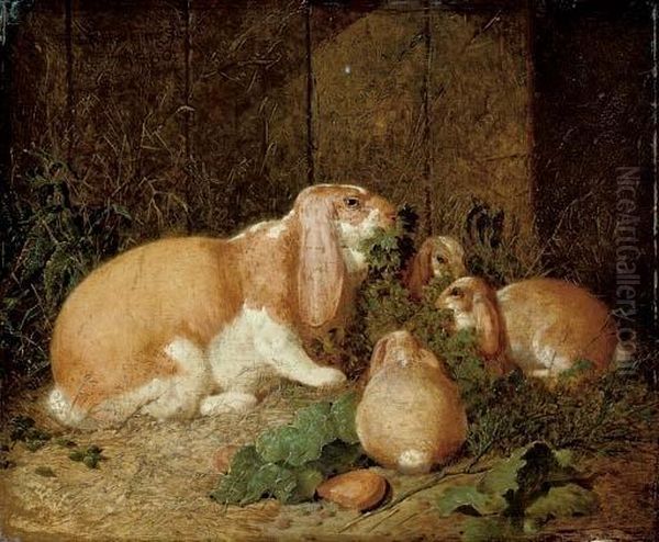 Rabbit Oil Paintings