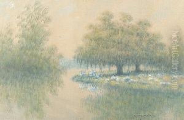 Louisiana Bayou Painting